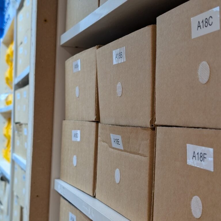 Genuine Dimplex Thermostat and Cut Out | 300000701